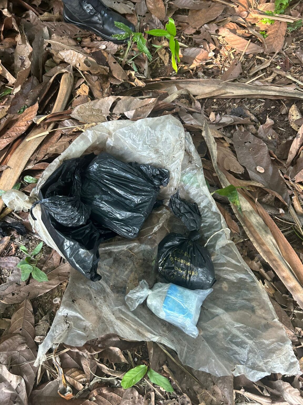 Base Arpão 2: PMAM prende dupla e apreende entorpecentes - Vanguarda do ...